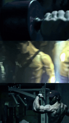 Saex GIFs - Find & Share on GIPHY