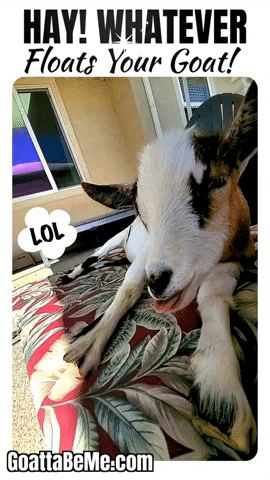 Whatever Floats Your Goat GIFs - Find & Share on GIPHY