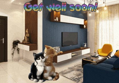 My Pet Cats GIF - Find & Share on GIPHY