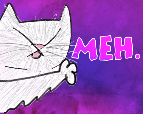 Cat Whatever GIF - Find & Share on GIPHY