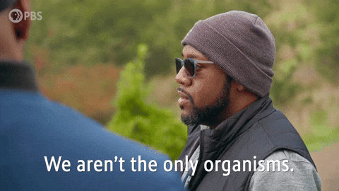 Episode 5 Humans GIF by PBS - Find & Share on GIPHY