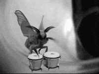 Moth Lamp Meme GIFs - Find & Share on GIPHY