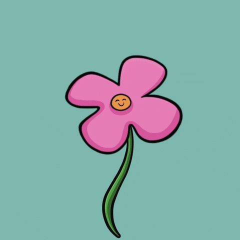 Flower Grow GIF by JellaCreative - Find & Share on GIPHY