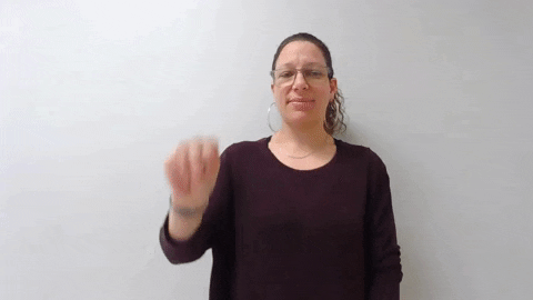 Asl Michigan GIF - Find & Share on GIPHY