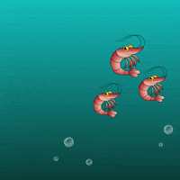 The-krill GIFs - Get the best GIF on GIPHY