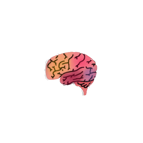 Lobes Of The Brain Stickers - Find & Share on GIPHY