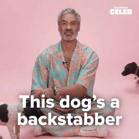 Backstabbers Clips - Find & Share on GIPHY