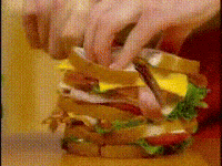 Idiot Sandwich Meme GIFs - Find & Share on GIPHY