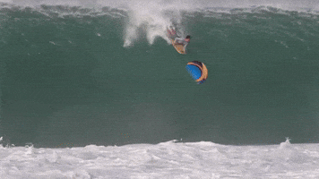 Action Sports Surfing GIF by World Surf League