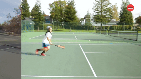 Tennis Court GIF by BuzzFeed - Find & Share on GIPHY