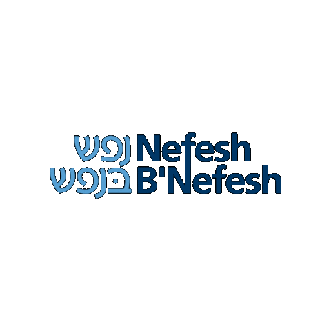 Israel Aliya Sticker by Nefesh B'Nefesh - Find & Share on GIPHY