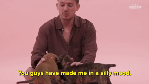 The Silly Guy Clips - Find & Share on GIPHY