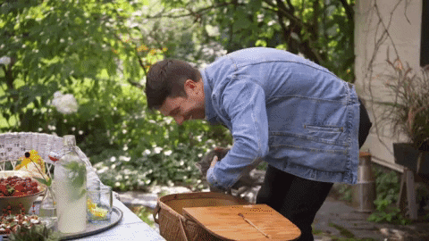Alexandre Barrette GIFs - Find & Share on GIPHY