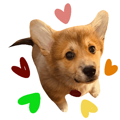 In Love Dog Sticker by utravel - Find & Share on GIPHY