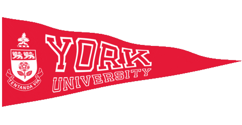 Yu Yorku Sticker by York University for iOS & Android | GIPHY