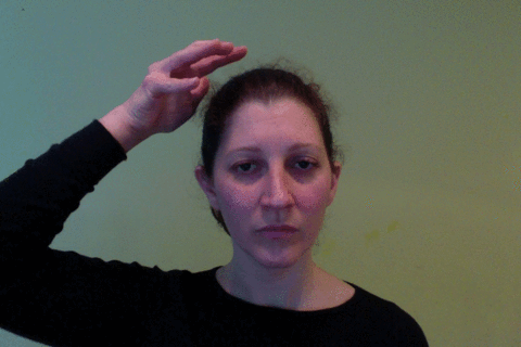 signing sign language GIF by PRI - Find & Share on GIPHY