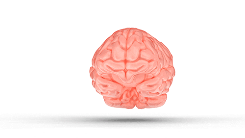 GIF by Matthew Butler - Find & Share on GIPHY