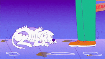Dog Raining GIF by Anchor Point