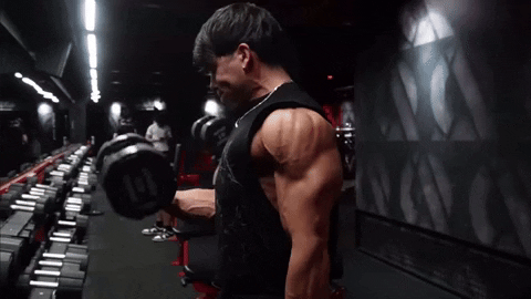 Gbz GIF - Find & Share on GIPHY