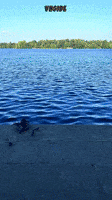 perfect loop GIF by Living Stills