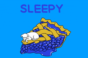Good Night Sleeping GIF by Chippy the Dog