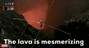 Java Meme GIFs - Find & Share on GIPHY