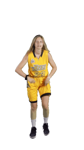 Basketball No Sticker by ACSL - Austrian College Sports League - Find & Share on GIPHY