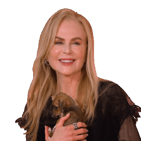 Nicole Kiddman Stickers - Find & Share on GIPHY