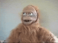 Monkey Puppet Meme GIFs - Find & Share on GIPHY
