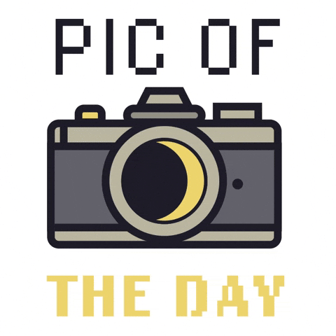 Picture Of The Day GIFs - Find & Share on GIPHY