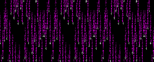 La-tota GIFs - Get the best GIF on GIPHY