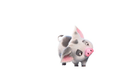 Maui Pua Sticker by Walt Disney Animation Studios - Find & Share on GIPHY