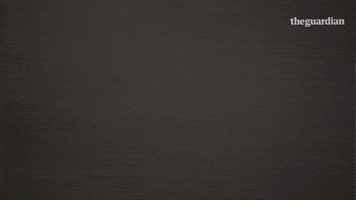 Animation Design GIF by MillMotion