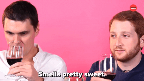 Wine Smell GIF by BuzzFeed - Find & Share on GIPHY