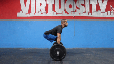 Bending Barbells GIFs - Find & Share on GIPHY