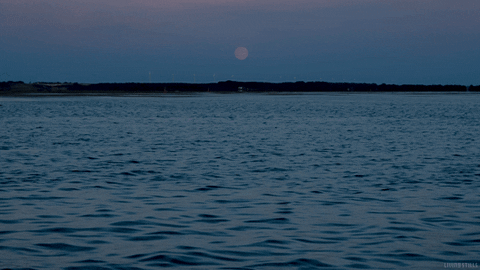 perfect loop GIF by Living Stills