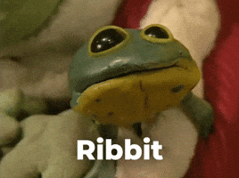 sitting common frog GIF by Head Like an Orange