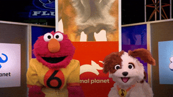 Abc Dancing GIF by Sesame Street