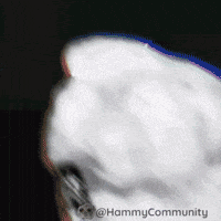 Jonkler Meme GIFs - Find & Share on GIPHY