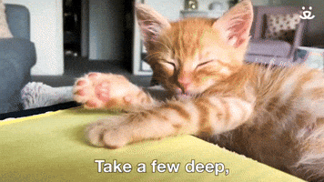 Deep Breath Stare GIF by Walt Disney Studios