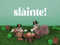 Shamrocks GIFs - Get the best GIF on GIPHY