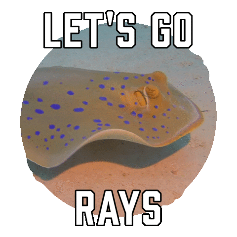 Lets Go Rays Stickers - Find & Share on GIPHY