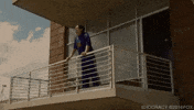 Ball Busting GIFs - Find & Share on GIPHY