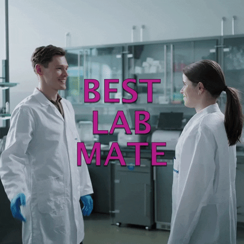 Best Lab GIFs - Find & Share on GIPHY