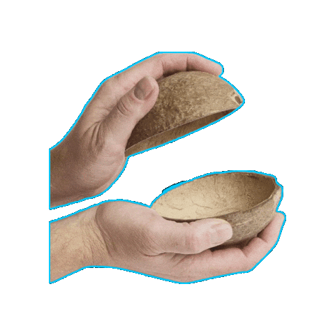 Spam Monty Python Stickers - Find & Share on GIPHY