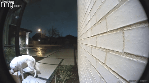 Off The Porch Clips - Find & Share on GIPHY