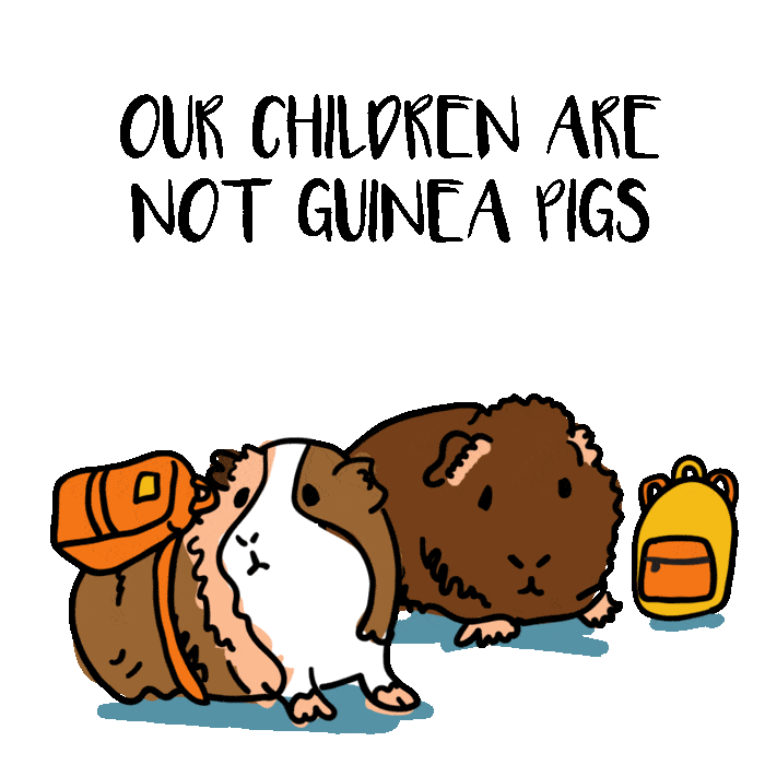 Stay Home Guinea Pigs Sticker by INTO ACTION for iOS & Android | GIPHY