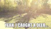 Deer Hunting GIFs - Find & Share on GIPHY