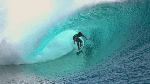 Barrel Surfing GIFs - Find & Share on GIPHY