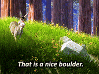 Donkey Fart GIFs - Find & Share on GIPHY